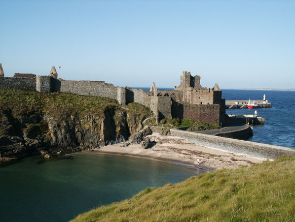 The History of the Vikings in the Isle of Man - ManxVikings Website