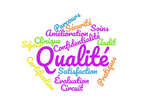 Démarche Qualité et Sécurité des Soins - Clinique de Chartreuse