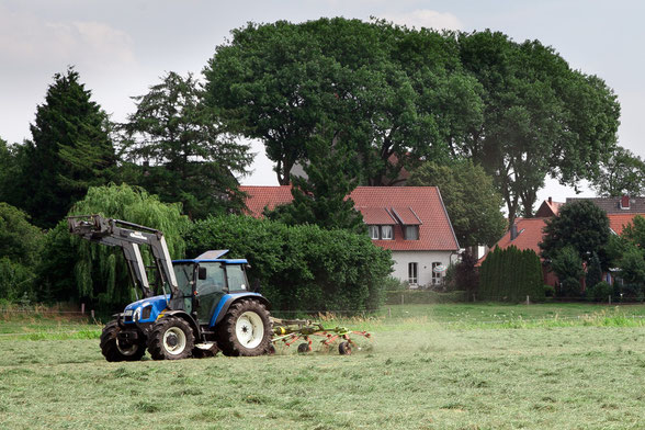 Willkommen in Milte - miltes Webseite!