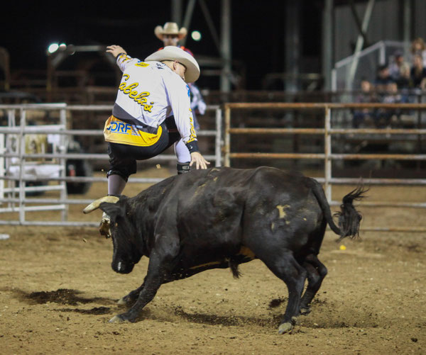 Q&A with Justin Josey - BullfightersOnly.com