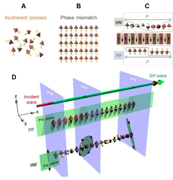 Highlights - Satoshi Aya Soft Matter Lab. @Guangzhou