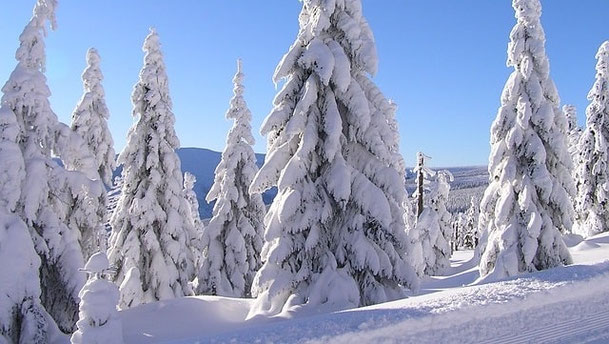 L’épreuve perfectionne la foi de l’homme - Dieu est mon Sauveur