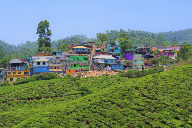 Les incontournables à ne pas manquer en Inde - Site de yocatour