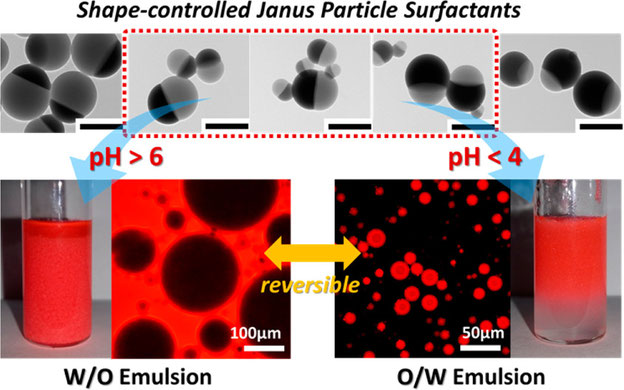 Structured Nano-Materials from the Controlled Self-Assembly of ...