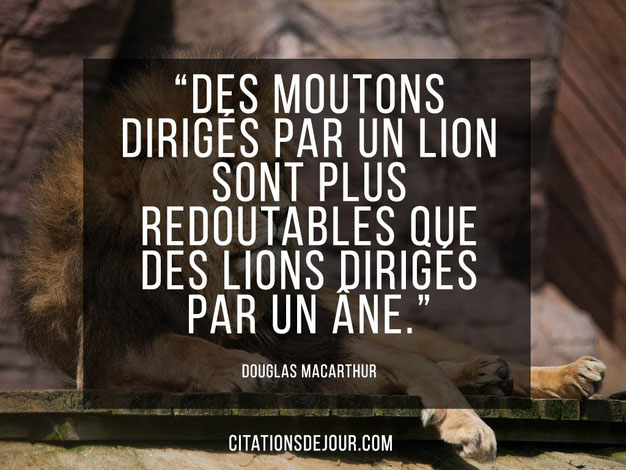 Mes Atouts - Un parcours interactif