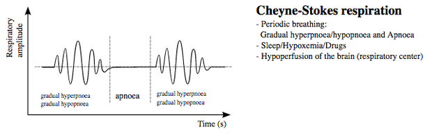 Respiración de Cheyne-Stokes - Página web de pseudomonas