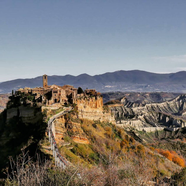 Das Ende eines spannenden Jahres - tuckerbuss Webseite!