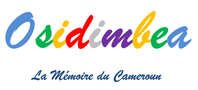 INSTITUT UNIVERSITAIRE CATHOLIQUE SAINTE THÉRÈSE DE YAOUNDÉ - INUCASTY ...