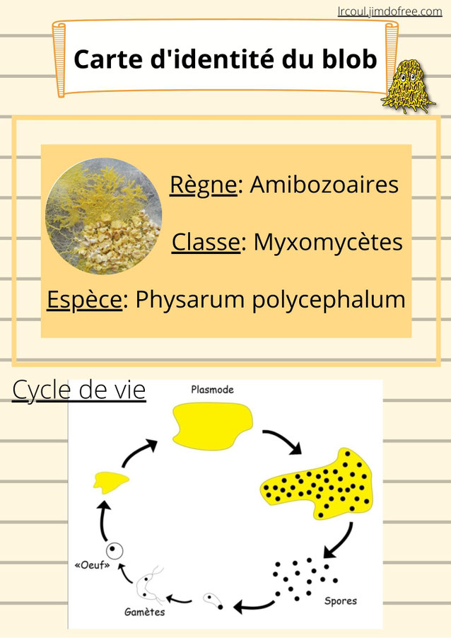 Un Blob en Classe: - Bien en classe! Pédagogie positive - Ressources ...