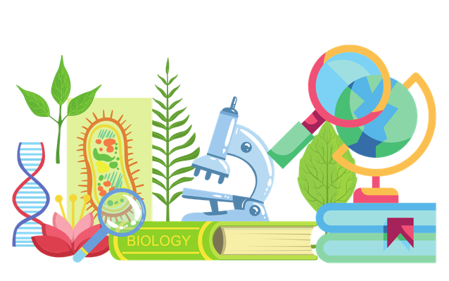 thème 2a : L'organisation fonctionnelle du vivant - Cours et ressources ...