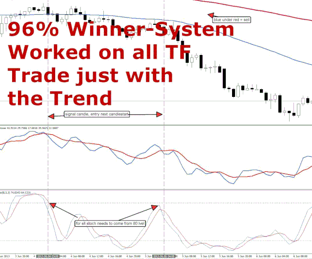 Winner Trading System - Forex Strategies - Forex Resources - Forex ...
