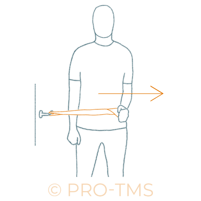Renforcement musculaire des rotateurs externes de l'épaule - PRO-TMS