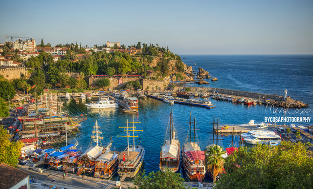 Side Turkey - BYCOSAPHOTOGRAPHY