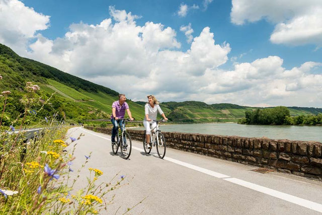 Der Rheinradweg - EuroVelo 15 - NiederrheinTube Blog