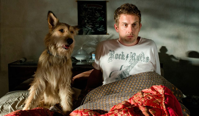 Bekanntheit als Film-Hund - Berger Picard Hündin Lucy