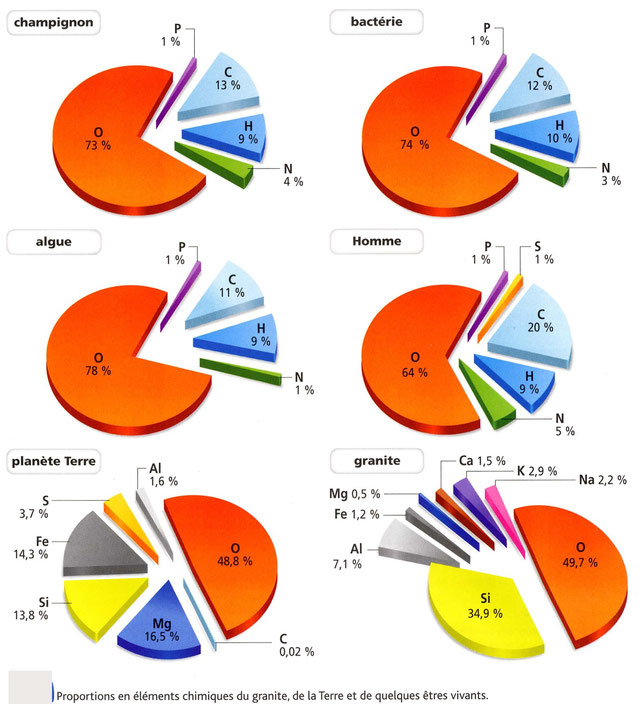 L'unité chimique et structurale du vivant - Site de cours de collège et ...