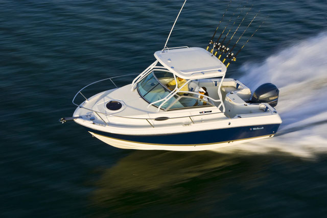 WellCraft boats: owner's manual PDF - Boat & Yacht manuals PDF