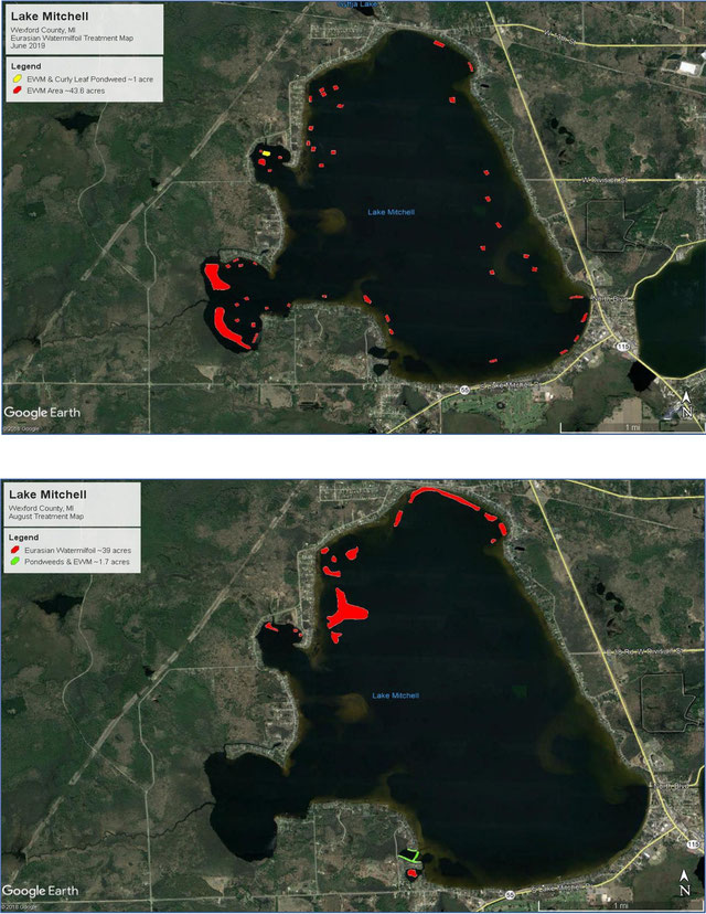 Treatment Area Maps - Lake Mitchell - Cadillac, Michigan