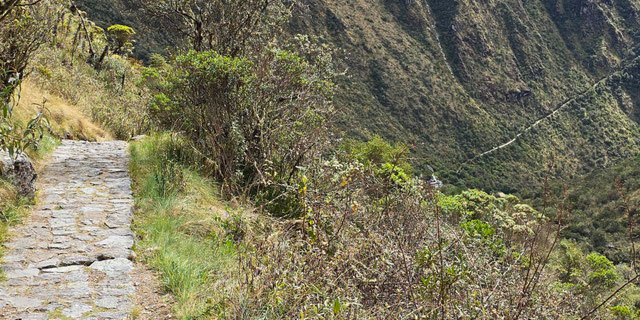 The phenomenal Inca road network which connected an empire - History Skills