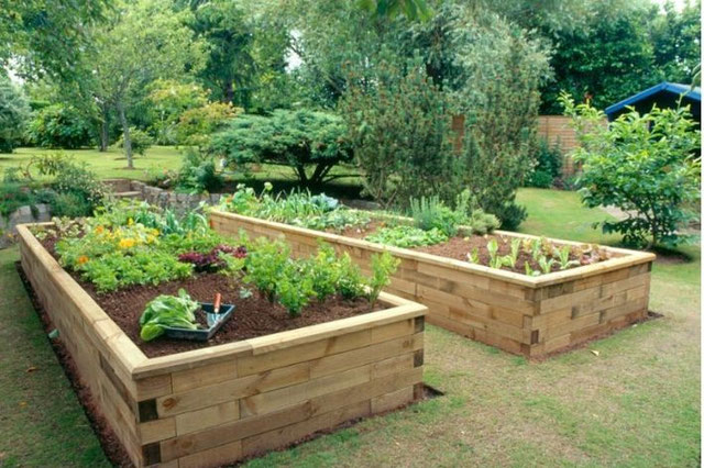 Moestuin aanleggen met bakken: 4 tips om mee te beginnen ...