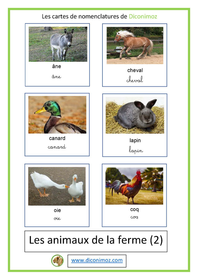 CARTES NOMENCLATURE ANIMAUX - Dictionnaire des animaux