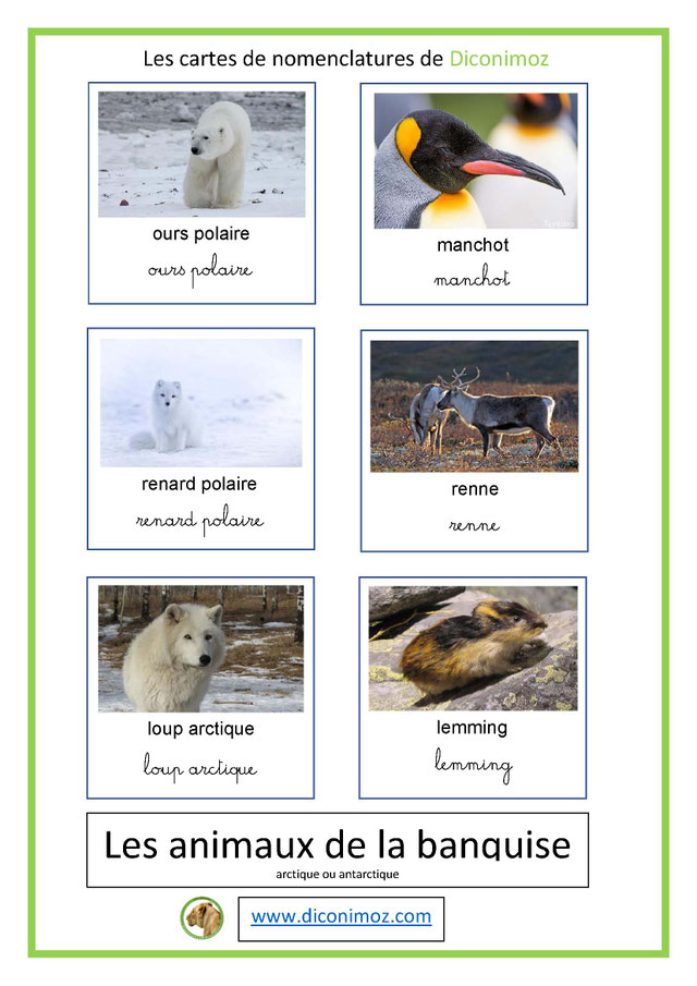 CARTES NOMENCLATURE ANIMAUX - Dictionnaire des animaux
