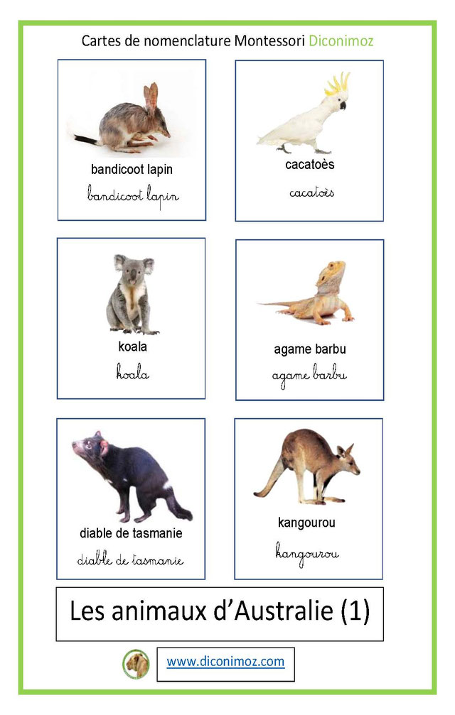 CARTES NOMENCLATURE ANIMAUX - Dictionnaire des animaux