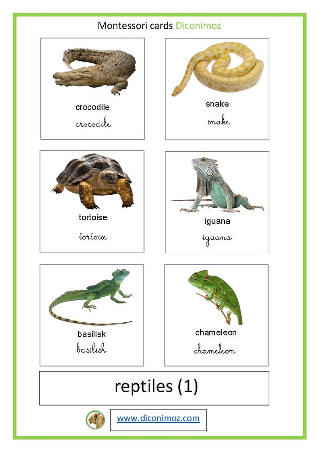 CARTES NOMENCLATURE ANIMAUX - Dictionnaire des animaux