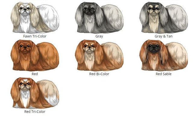 For breed - Сайт Rubinokelias!