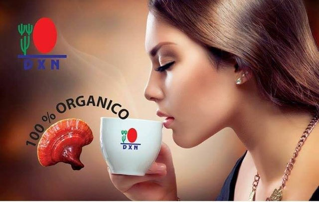 GANODERMA LUCIDUM DXN - Página web de negociomillonariodxn