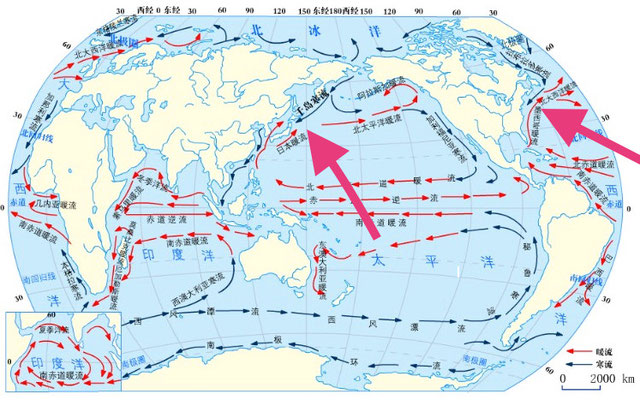 Ocean currents - Why not hire a certified guide?