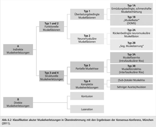 Wadenzerrung - Dr. med. Matthias Marquardt