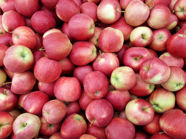 Über 50 verschiedene Obstsorten die meißten davon auch zum ...