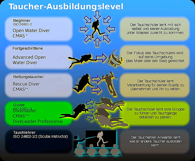 Tauchen lernen, die Grundmodule - vienna-dive-academys Webseite!