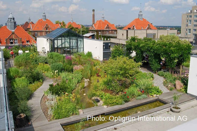 Intensive Substrate to Green Your Roof - iNTERBiMS