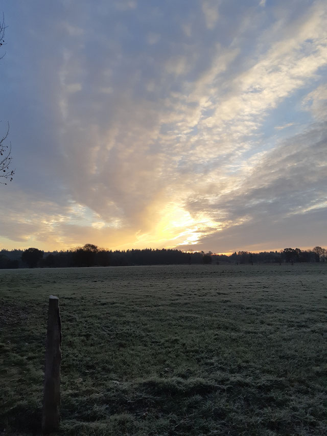 Fipsi Will Auch Mit Zum Weihnachtsmarkt - Handgemachte Stoffpuppen ...
