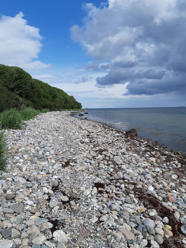 Rückblick: Kommt Mit Auf Unsere Kleine Wanderung... - Handgemachte ...