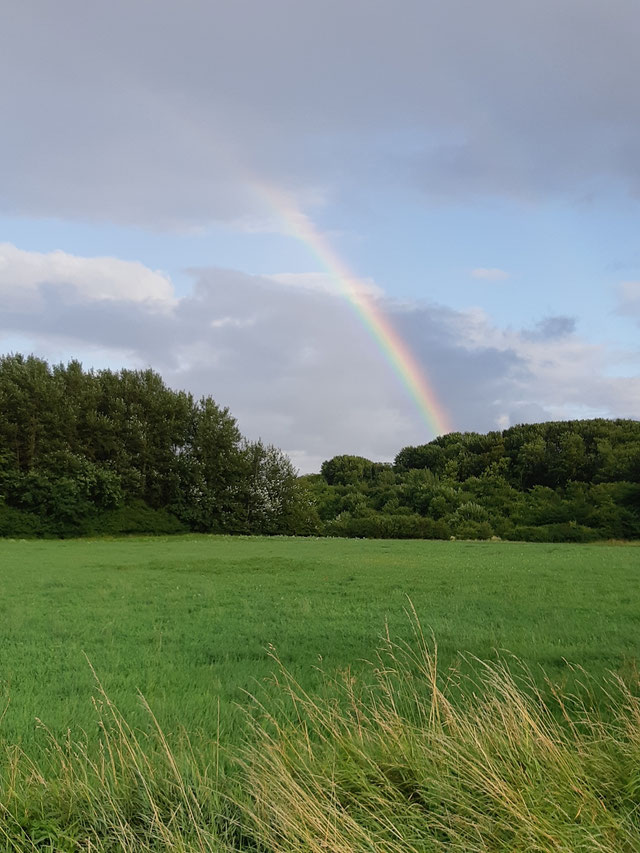 Rückblick: Kommt Mit Auf Unsere Kleine Wanderung... - Handgemachte ...