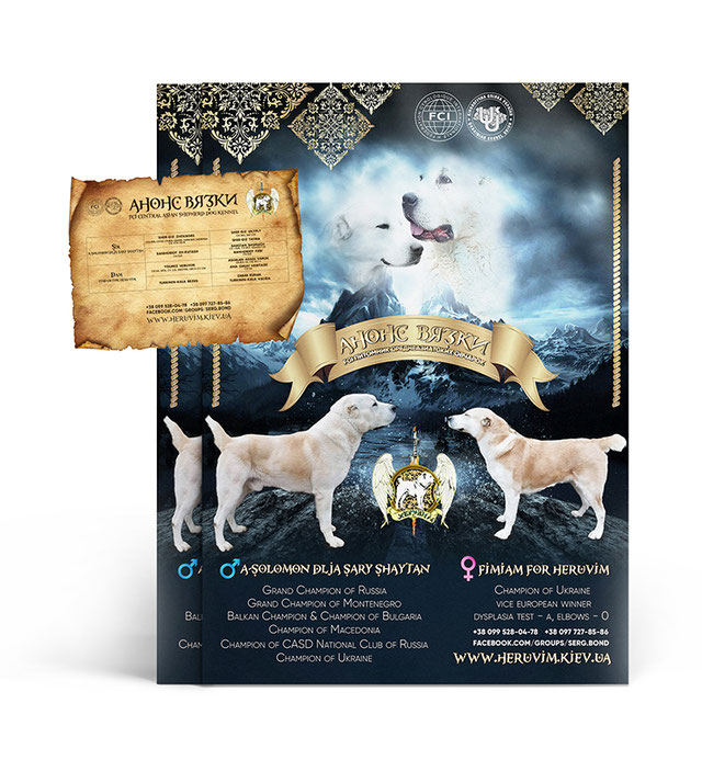 ADVERTISING WITH ANIMALS - PR & Design Studio LA BEAUTY