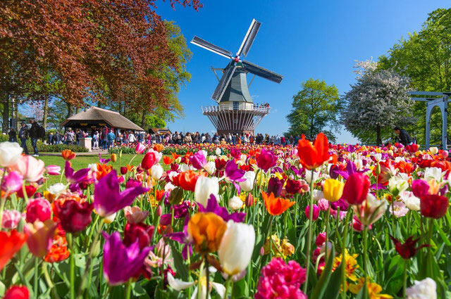 Best places to visit in The Netherlands - Europe's Best Destinations