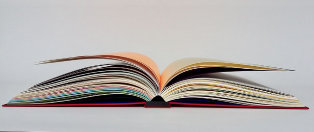 Livres, Books - Anne Goy