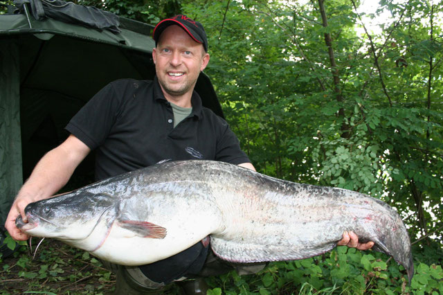 Die Merkel-Montage - Welsangeln mit Welsguide Peter Merkel unterstützt ...