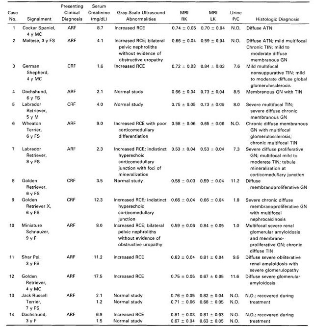 Duplex Doppler Estimation of Intrarenal Pourcelot Resistive Index in ...