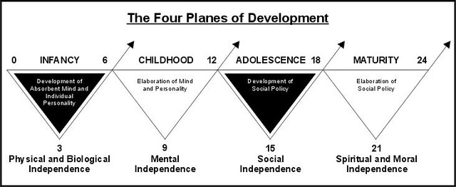 The Four Planes of Development - Deux Mille Feuilles Trilingual ...