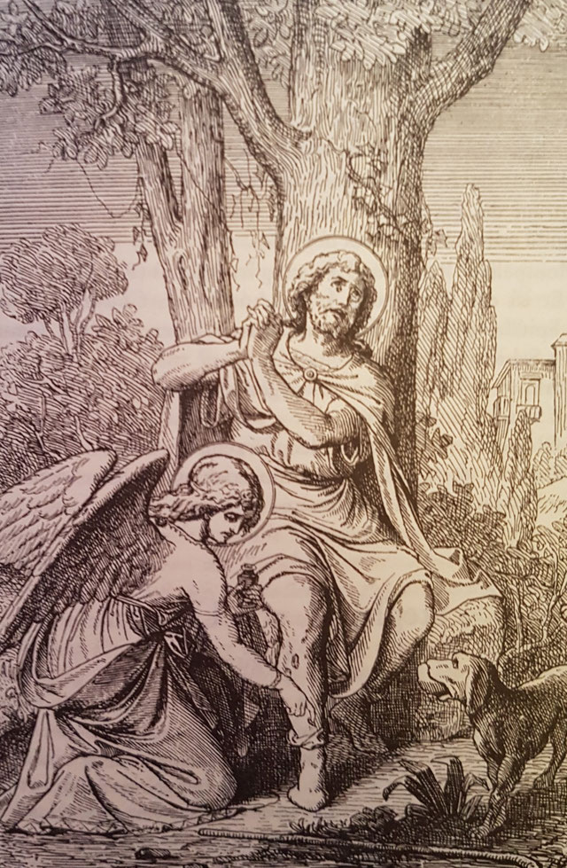 Rochus von Montpellier - Heiligen-Legende - Die Heiligen und Seligen der Katholischen Kirche.