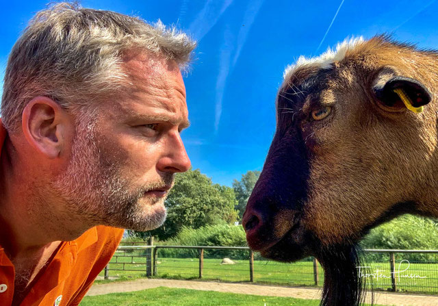 Hurtigruten und Kreuzfahrt Agentur vom Reiseleiter Thorsten Hansen ...