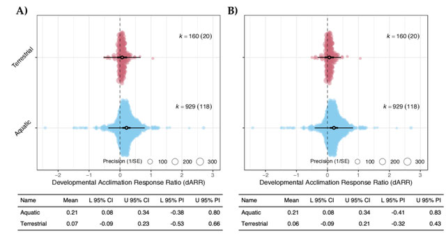 Meta-analysis in R - physalia-courses