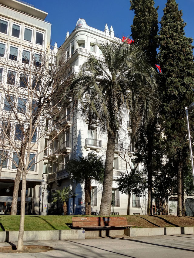 MADRID - Árboles Singulares de la Comunidad de Madrd