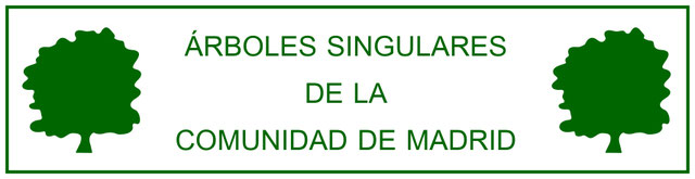 ÁRBOLES SINGULARES DE LA COMUNIDAD DE MADRID - Árboles Singulares de la ...