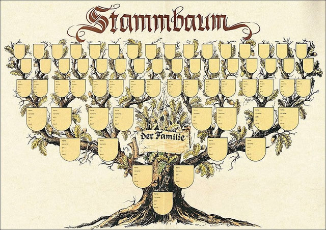 Stammbaum - familie-spiesss jimdo page!